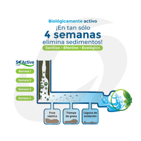 Papel Higiénico Tradicional SCF Active Paper - Prolimp