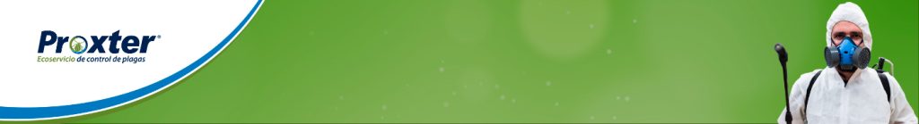 Productos de Limpieza - Prolimp